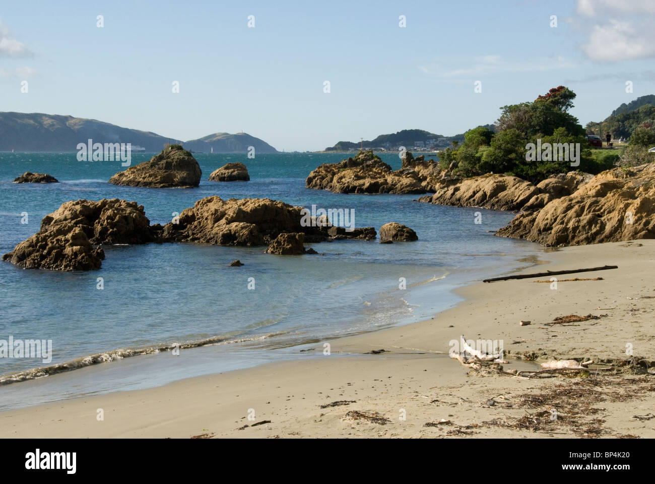 Sandy beach and rocky shore, Scorching Bay, Wellington Harbour, North ...