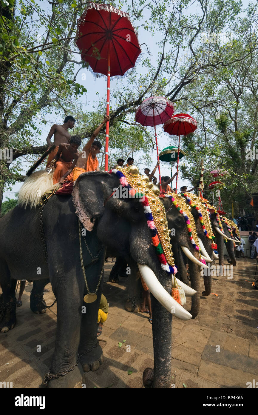 India Kerala Thrissur drawed up elephants during the Pooram Elephant ...
