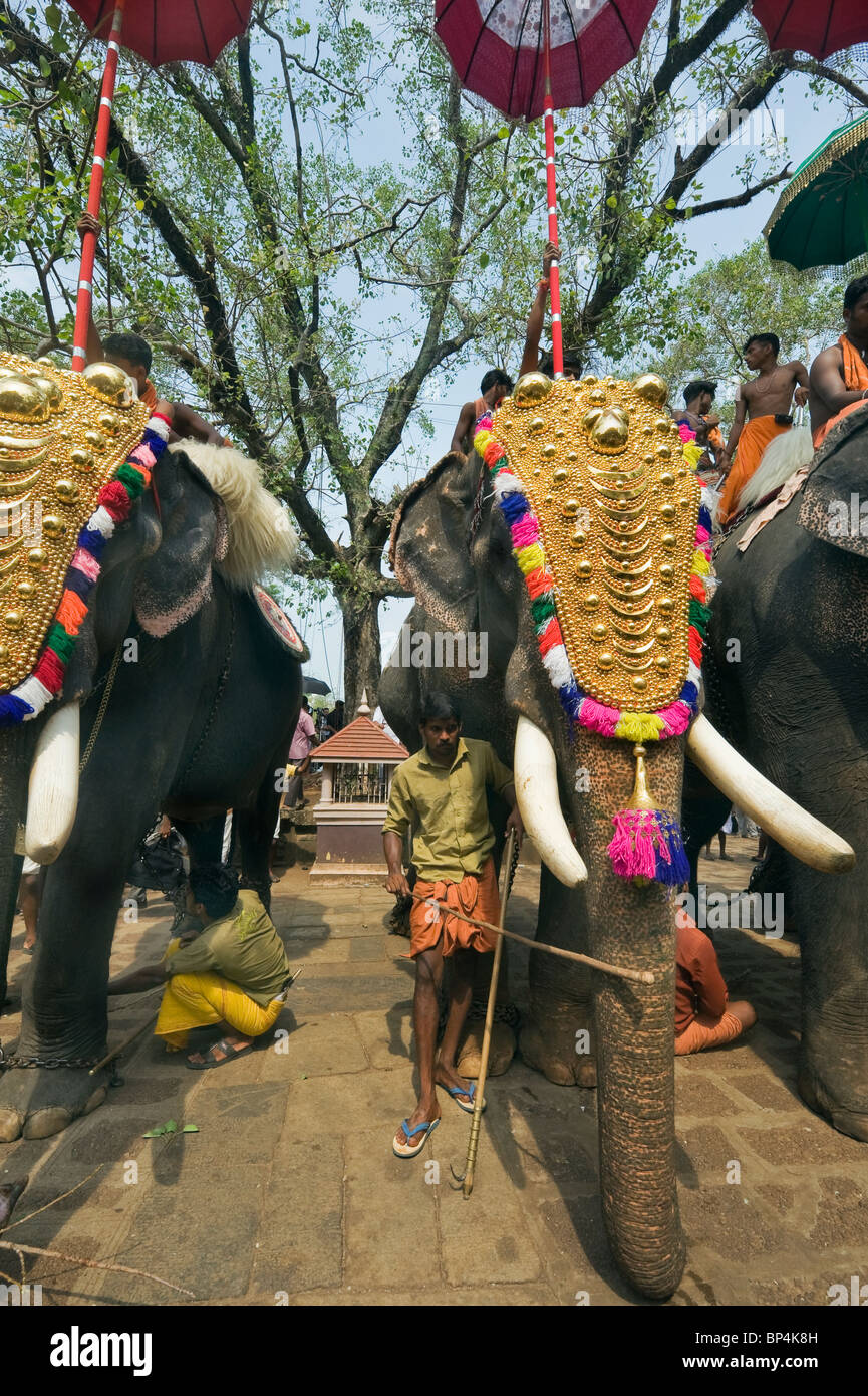 India Kerala Thrissur harnessed elephants during the Pooram Elephant ...