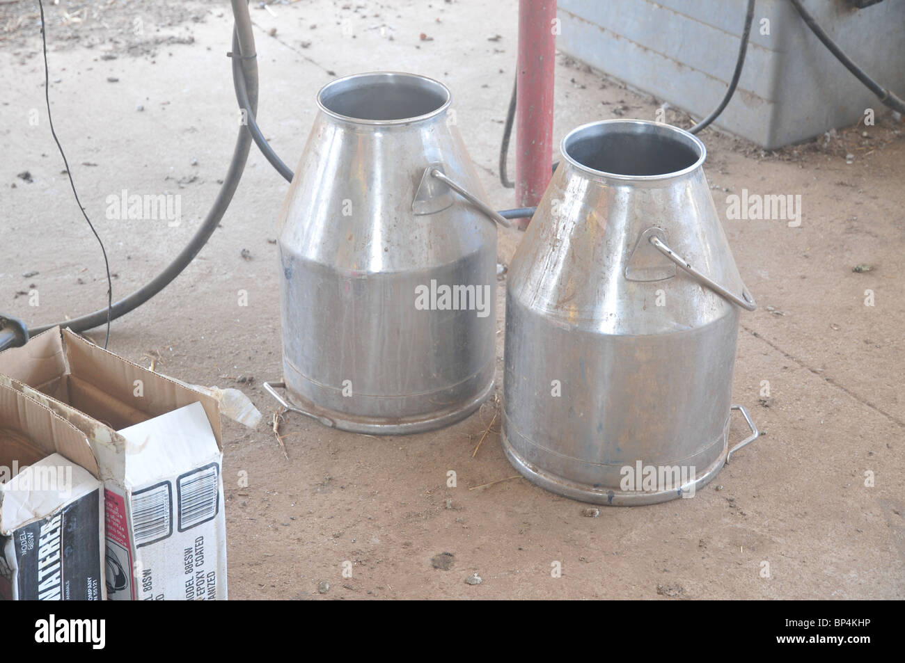 Israel, Goat Dairy farm milk buckets Stock Photo - Alamy