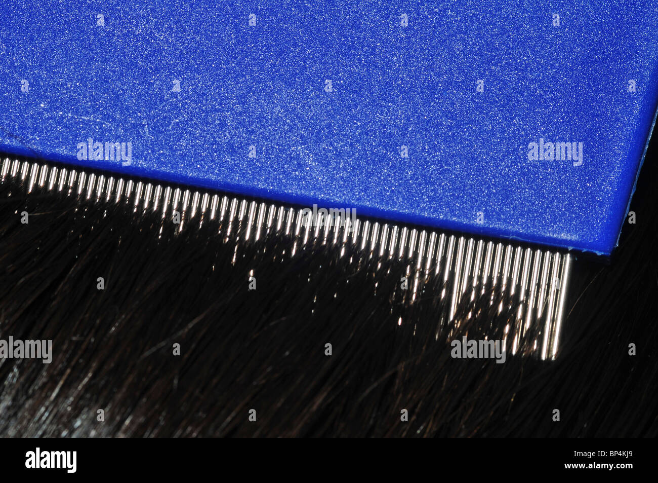 Combing a young girl's hair with nit comb Stock Photo - Alamy