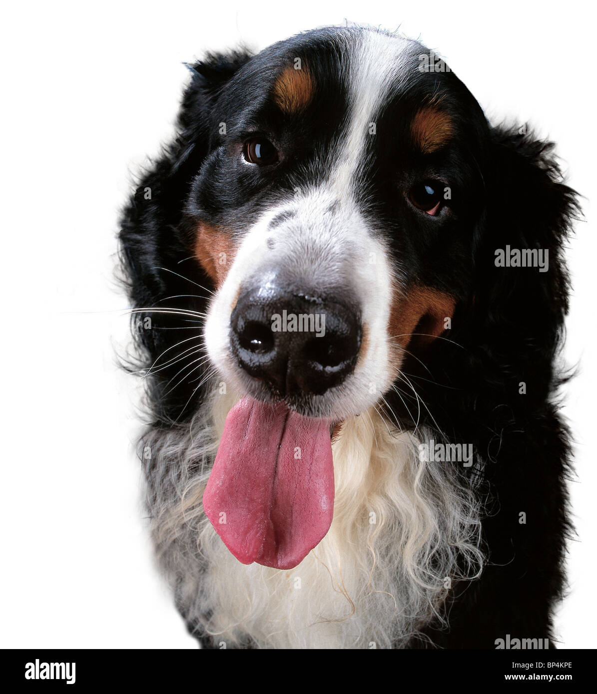 Fixed look hi-res stock photography and images - Alamy