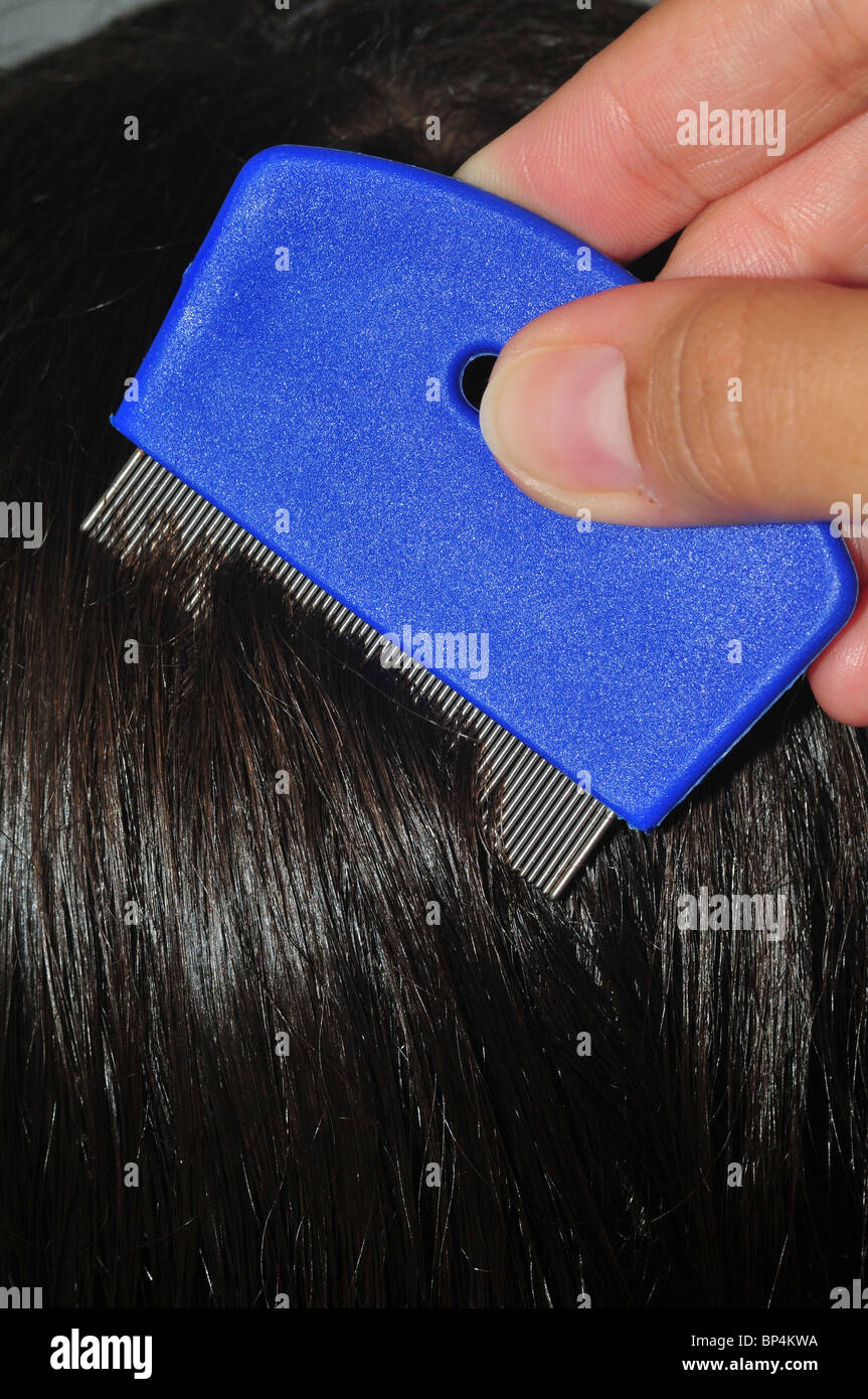 Nit comb hi-res stock photography and images - Alamy