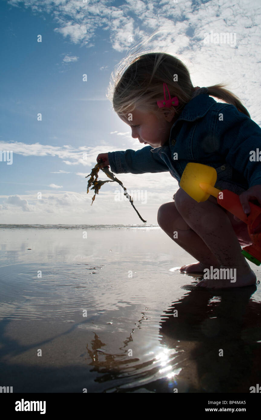 Child playing with seaweed on Saunton Beach North Devon Stock Photo - Alamy