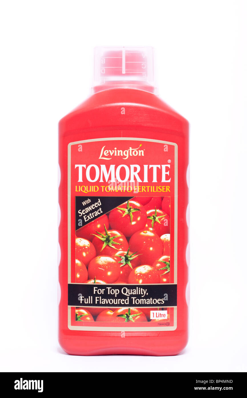 A cut out of a bottle of Levington Tomorite liquid tomato fertiliser on ...