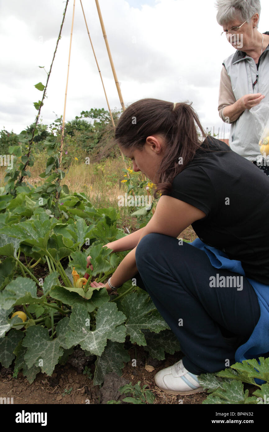 School garden hi-res stock photography and images - Alamy