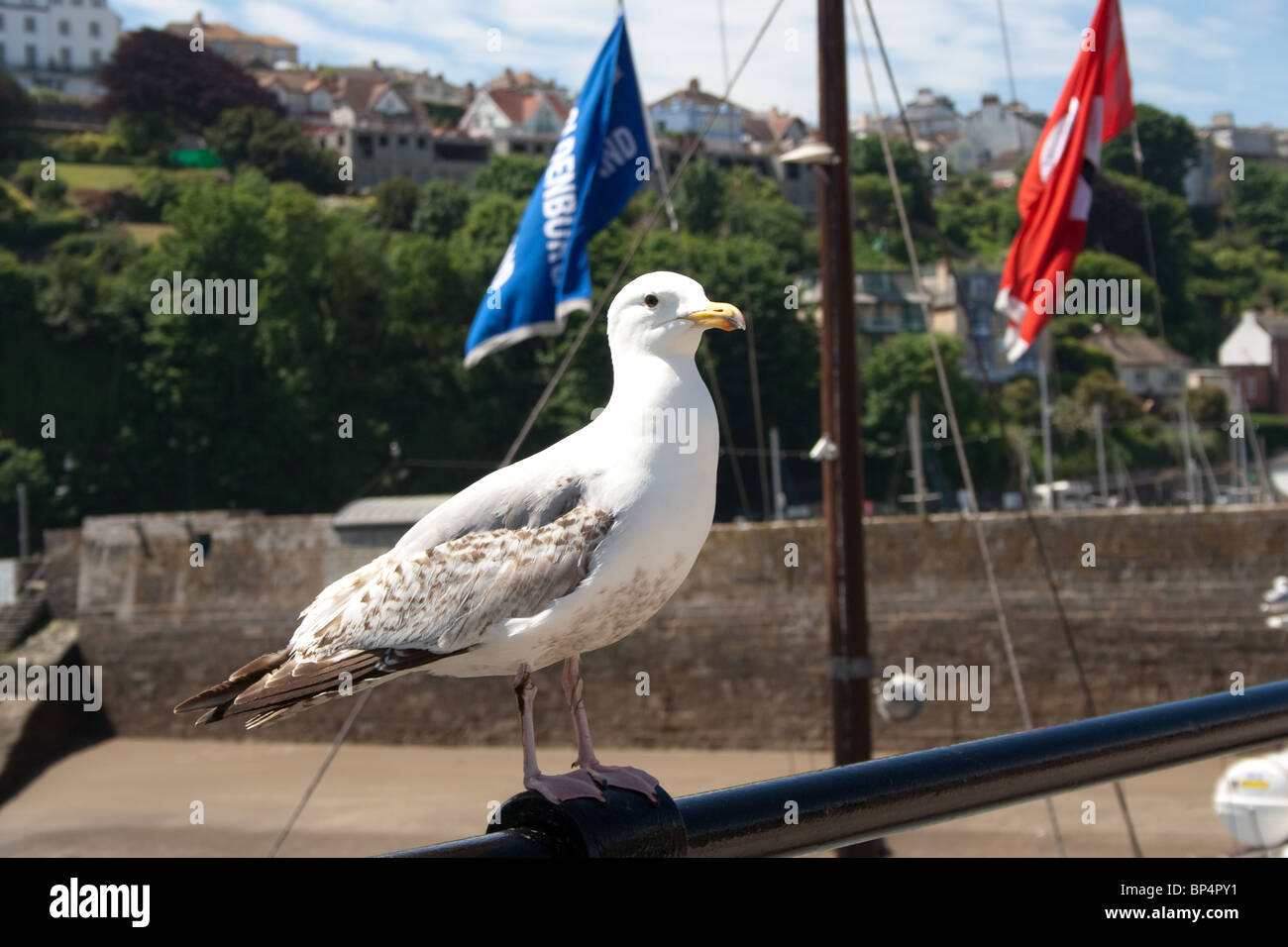 Nautical flag hi-res stock photography and images - Alamy