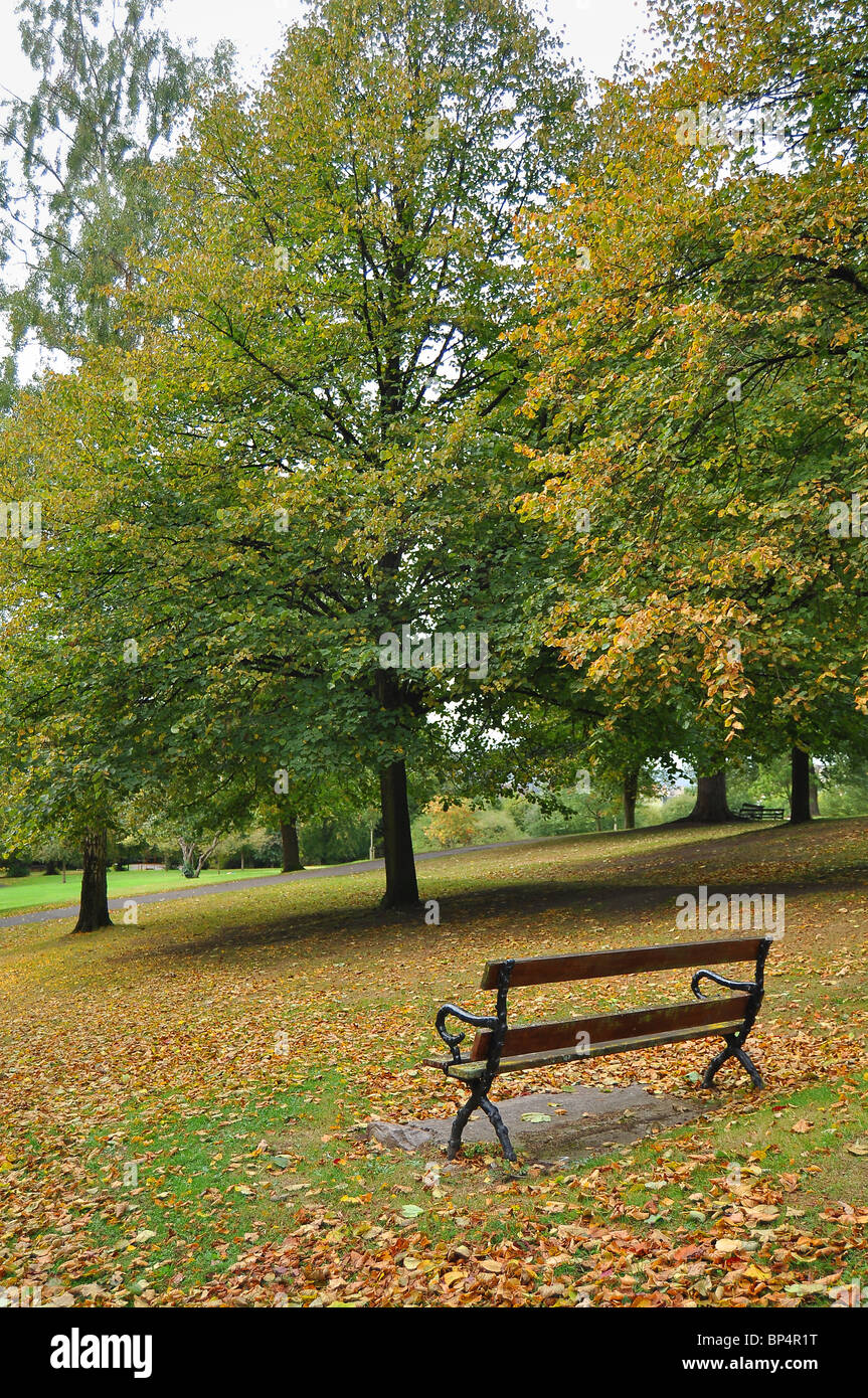 Autumn scene in Bristol Park. Jack Moon Photography Stock Photo - Alamy