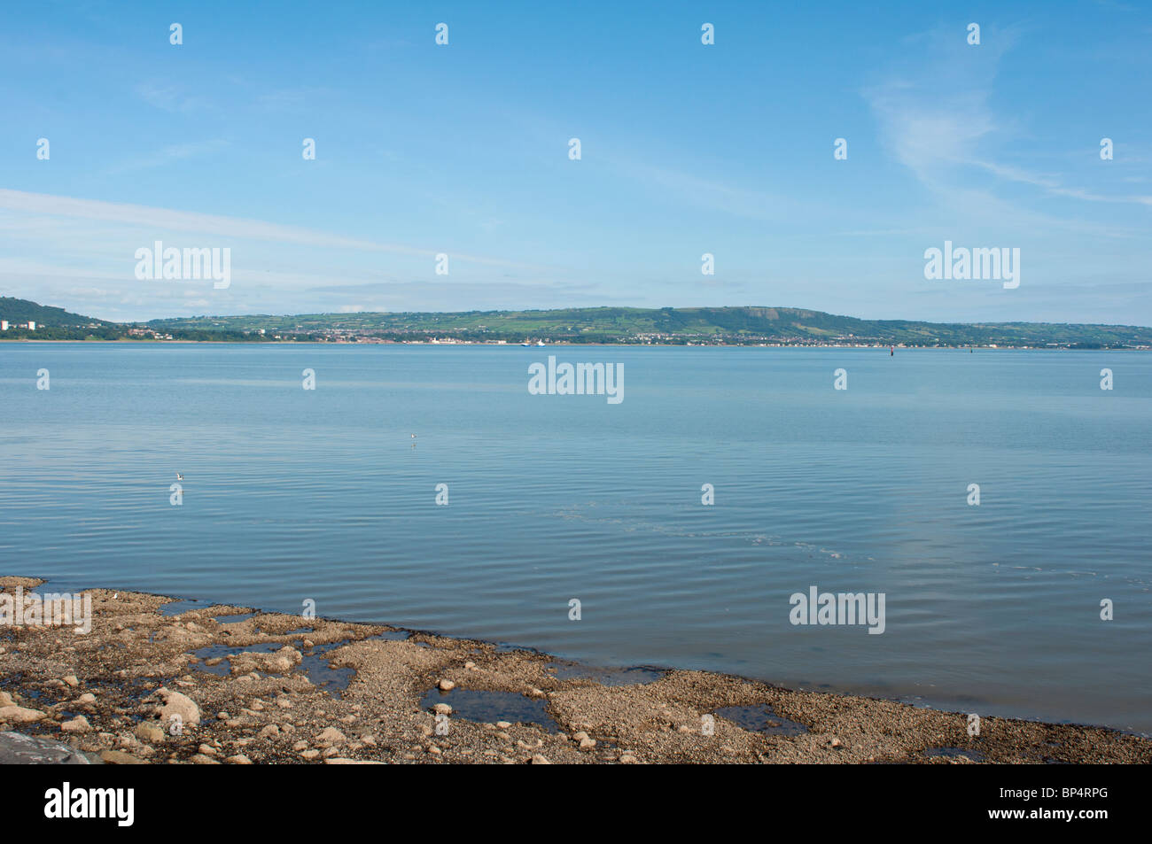 Belfast Lough as viewed from Holywood County Down Stock Photo - Alamy
