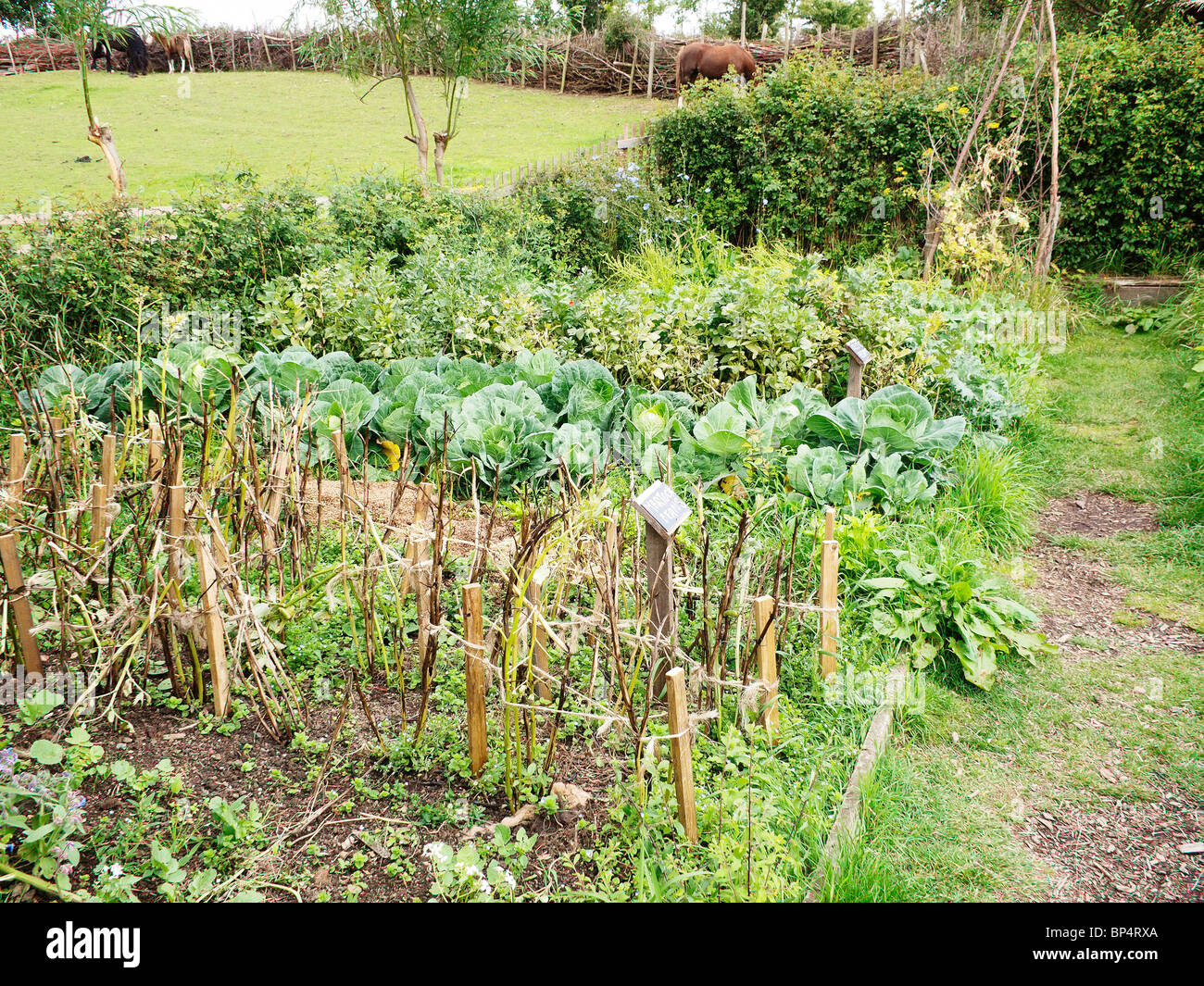 Medieval Vegetable Garden