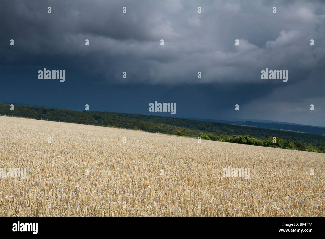 Storm over wheat field hi-res stock photography and images - Alamy