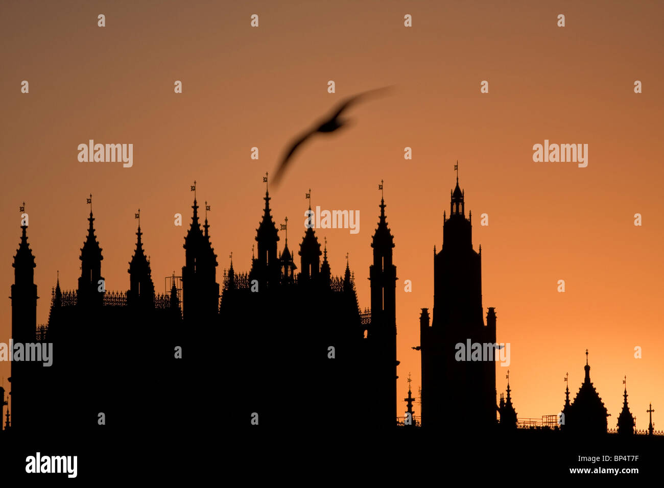 Late summer afternoon over the Houses of Parliament Stock Photo - Alamy