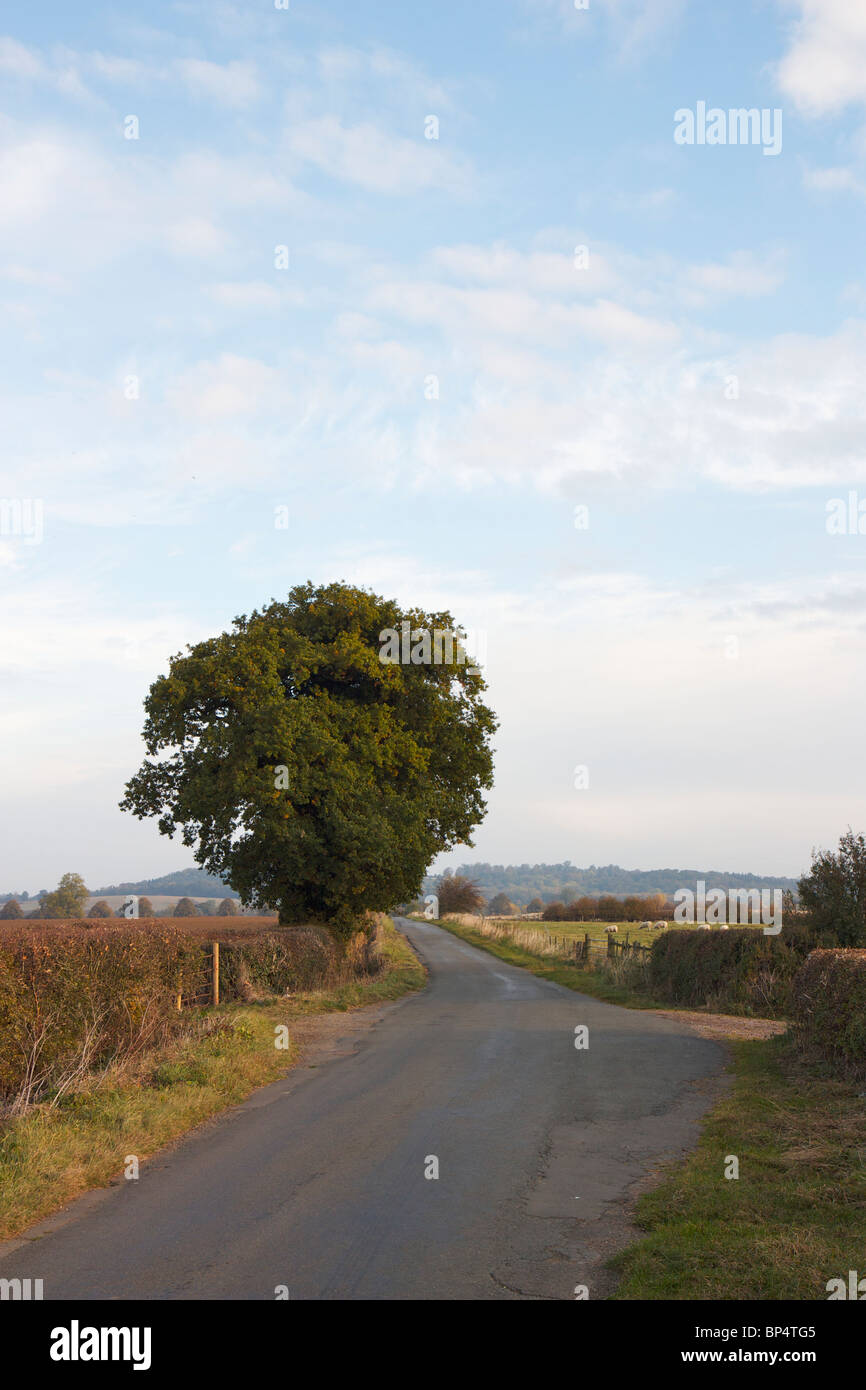 Lane in arable countryside hi-res stock photography and images - Alamy