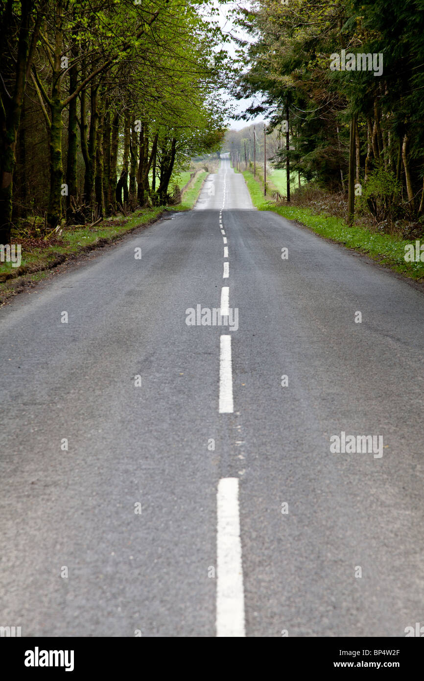 Tree lined horizon hi-res stock photography and images - Alamy