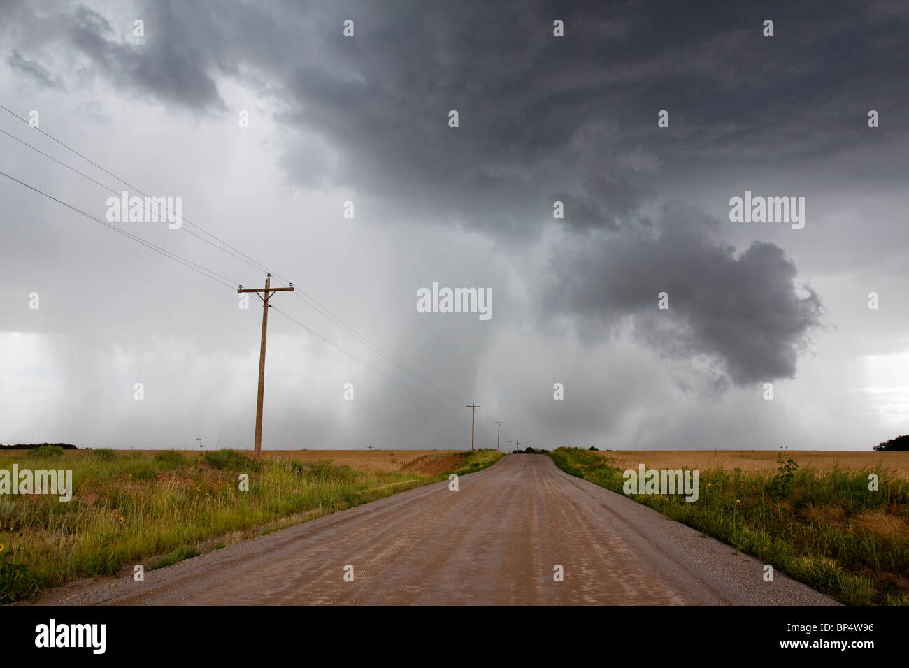 Angry looming cumulus thunder storm clouds releasing rain in a rural ...