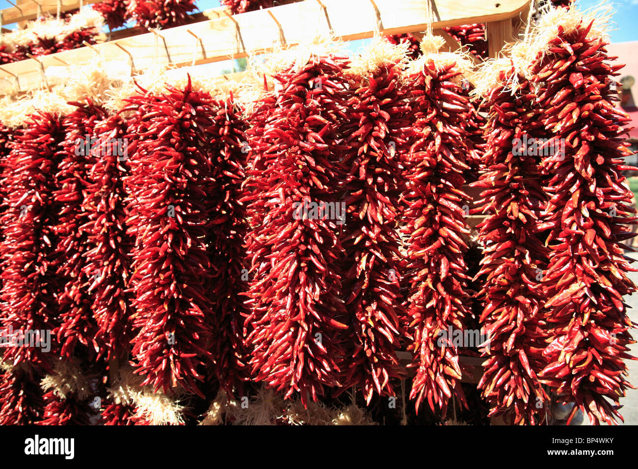 Dried Red Chilies, Chili Ristras, Santa Fe, New Mexico, USA Stock Photo ...
