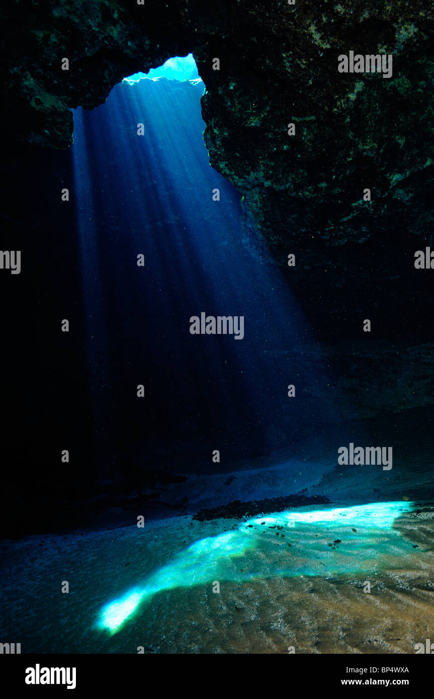Blue hole, Ichetucknee State Park, Florida Stock Photo - Alamy