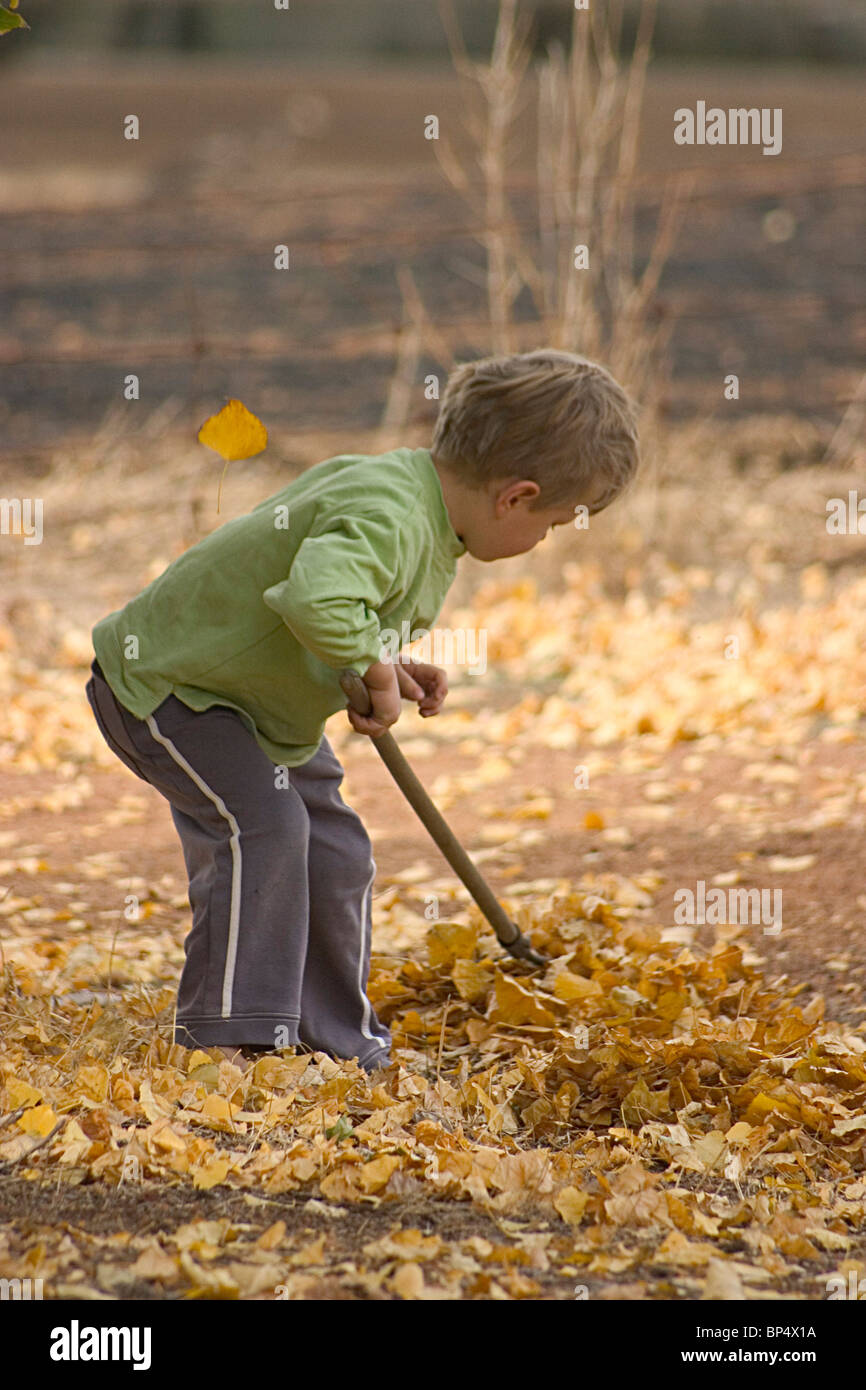 Child raking leaves hi-res stock photography and images - Alamy