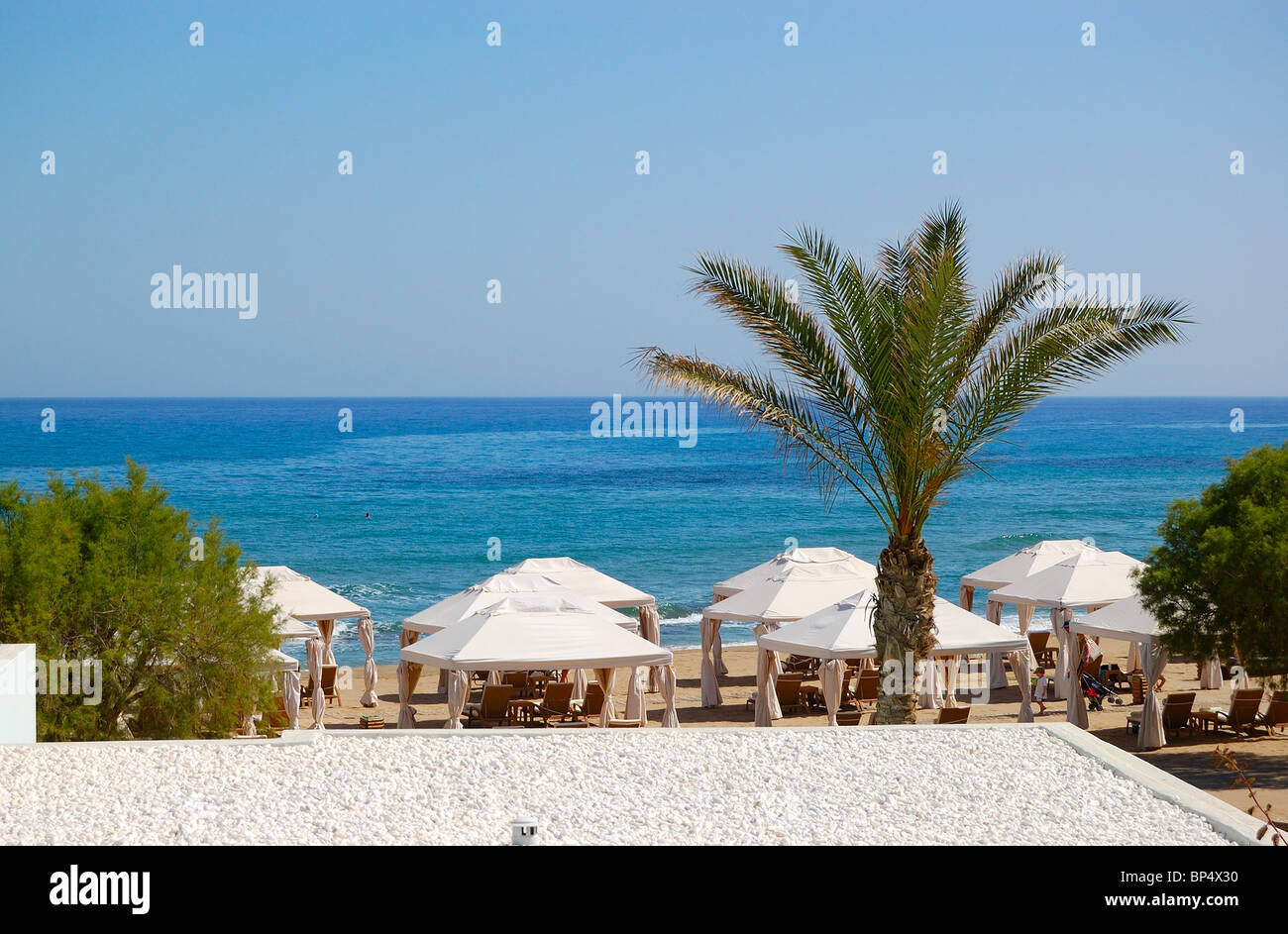 Palm tree at the beach of luxury hotel, Crete, Greece Stock Photo - Alamy