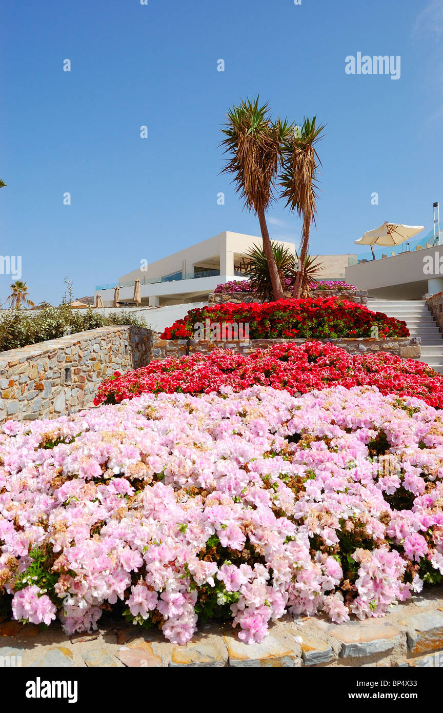Terrace with flowers at recreation area of luxury hotel, Crete, Greece ...