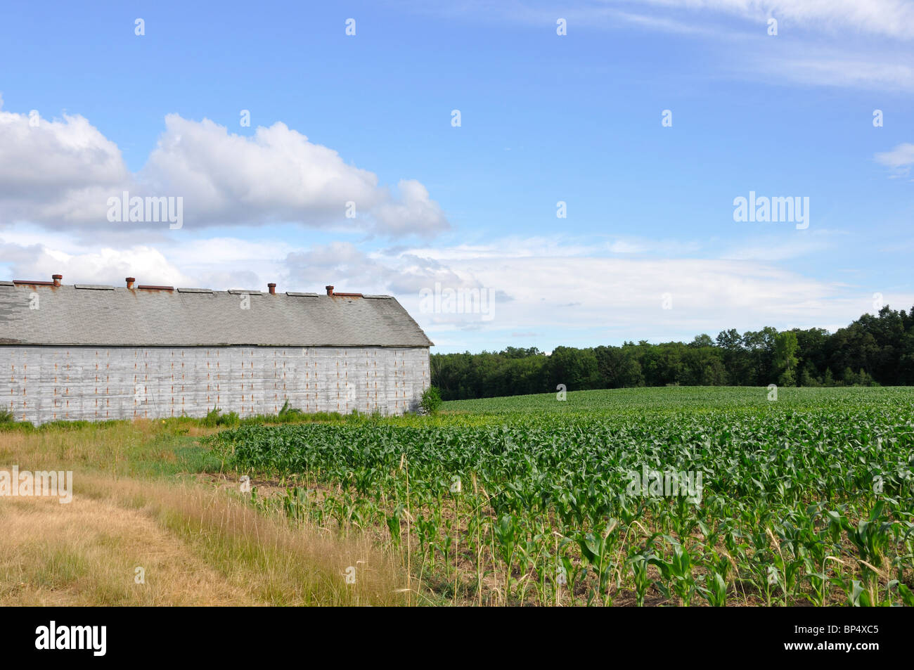 New England countryside, Simsbury, Connecticut, USA Stock Photo - Alamy