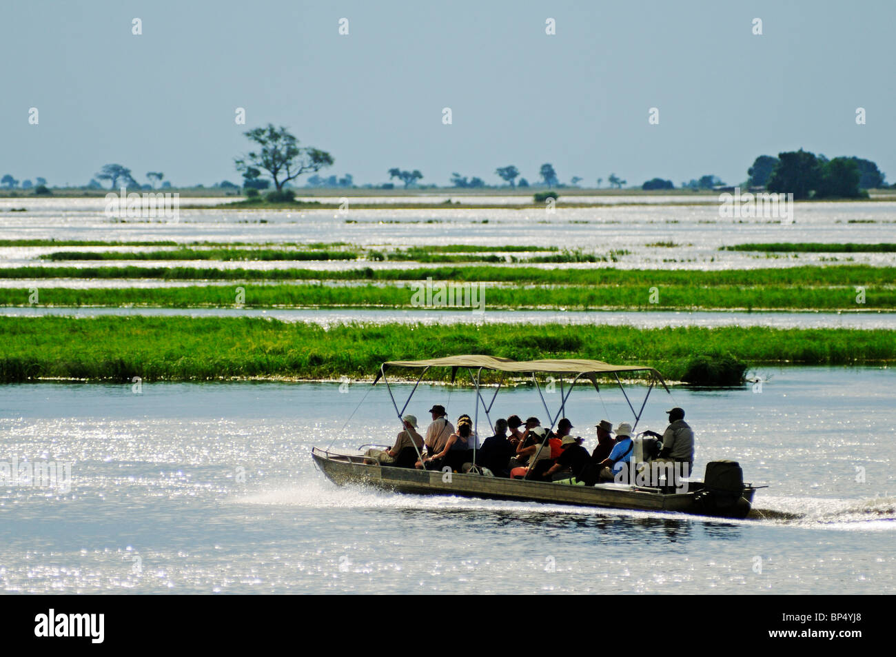 Boat cruise on Chobe River near Kasane, Chobe National Park, Republic ...