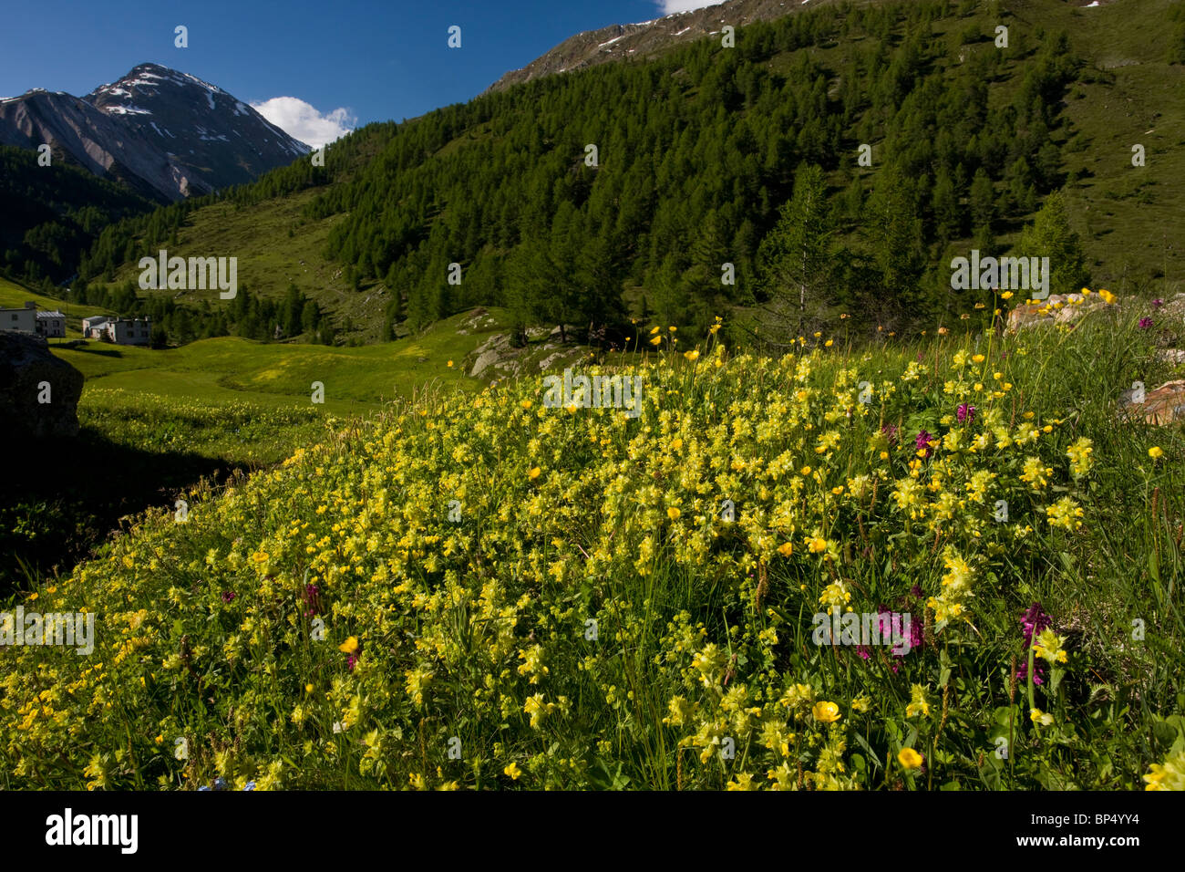 Engadin pass hi-res stock photography and images - Alamy