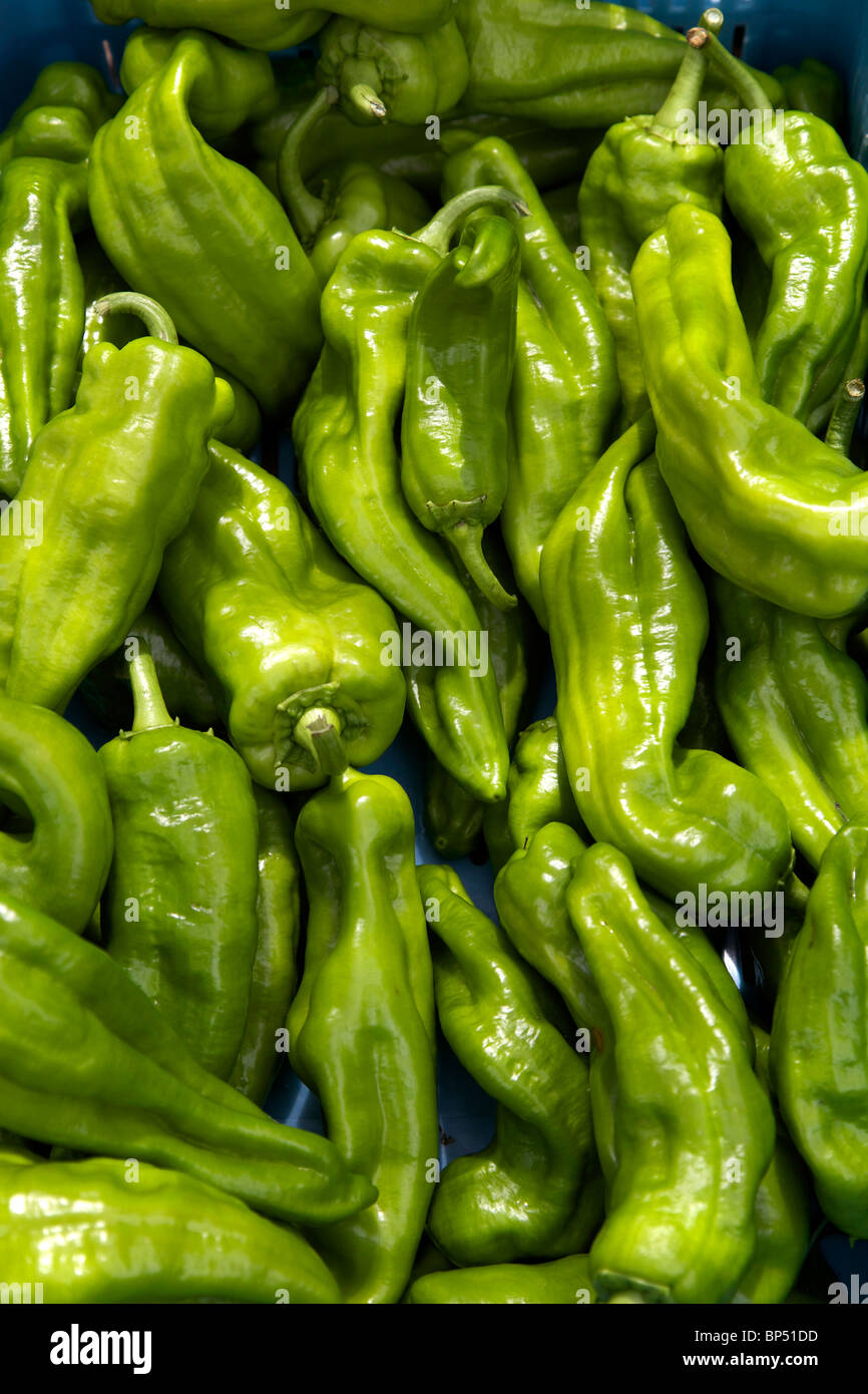 peppers vegetable vegetables food fresh chili green Stock Photo - Alamy
