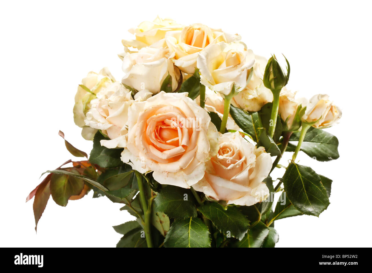 Bunch of beautiful roses Stock Photo - Alamy