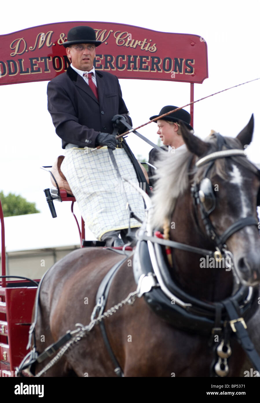 Percheron horse hi-res stock photography and images - Alamy