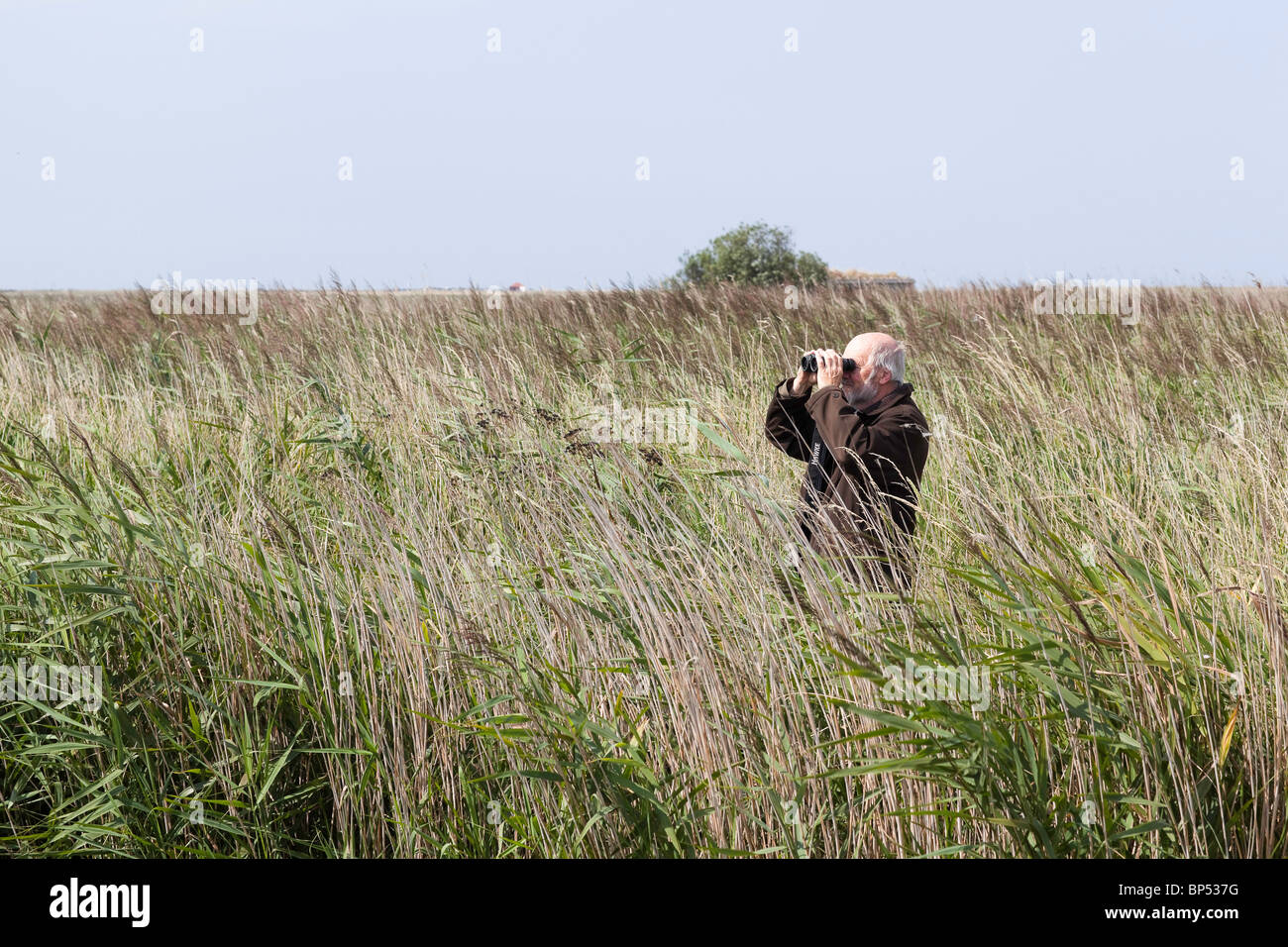 Birdwatching norfolk hi-res stock photography and images - Alamy