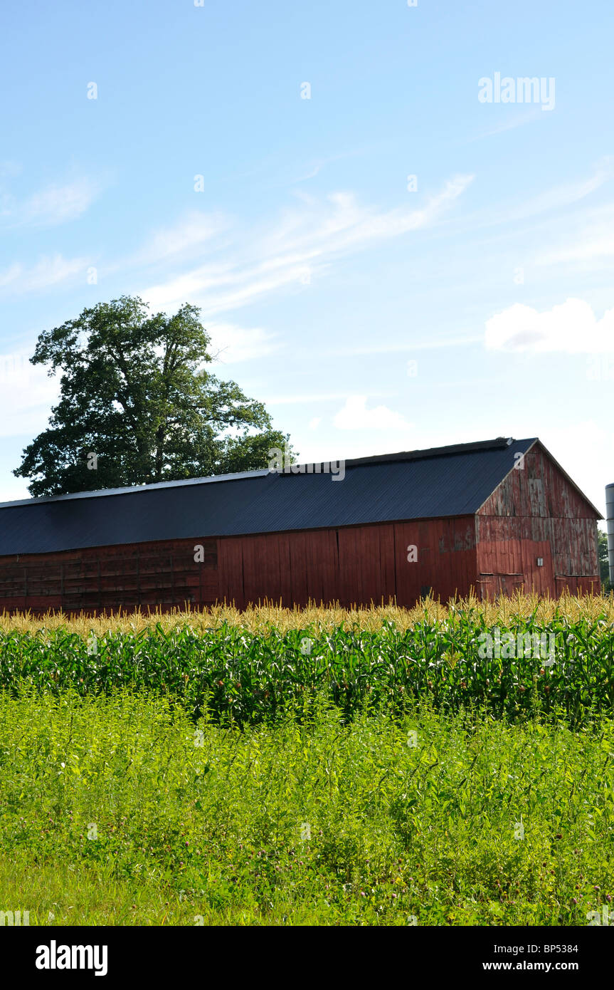 New England countryside, Connecticut, USA Stock Photo - Alamy