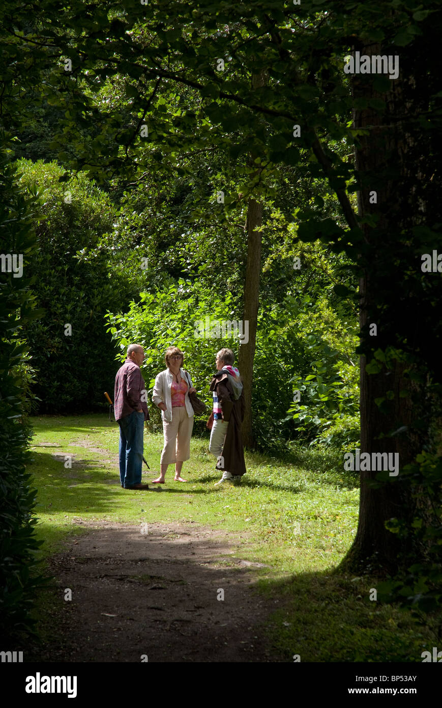 group of three people standing in sunny glade Stock Photo - Alamy
