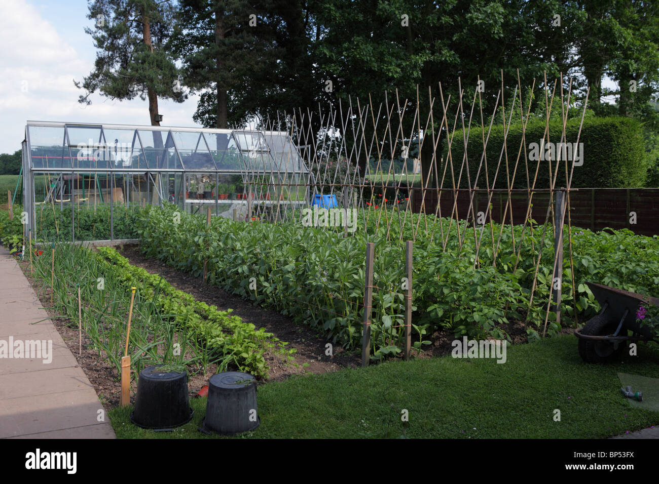 A neighbors/neighbours vegetable garden set out beautifully in the ...