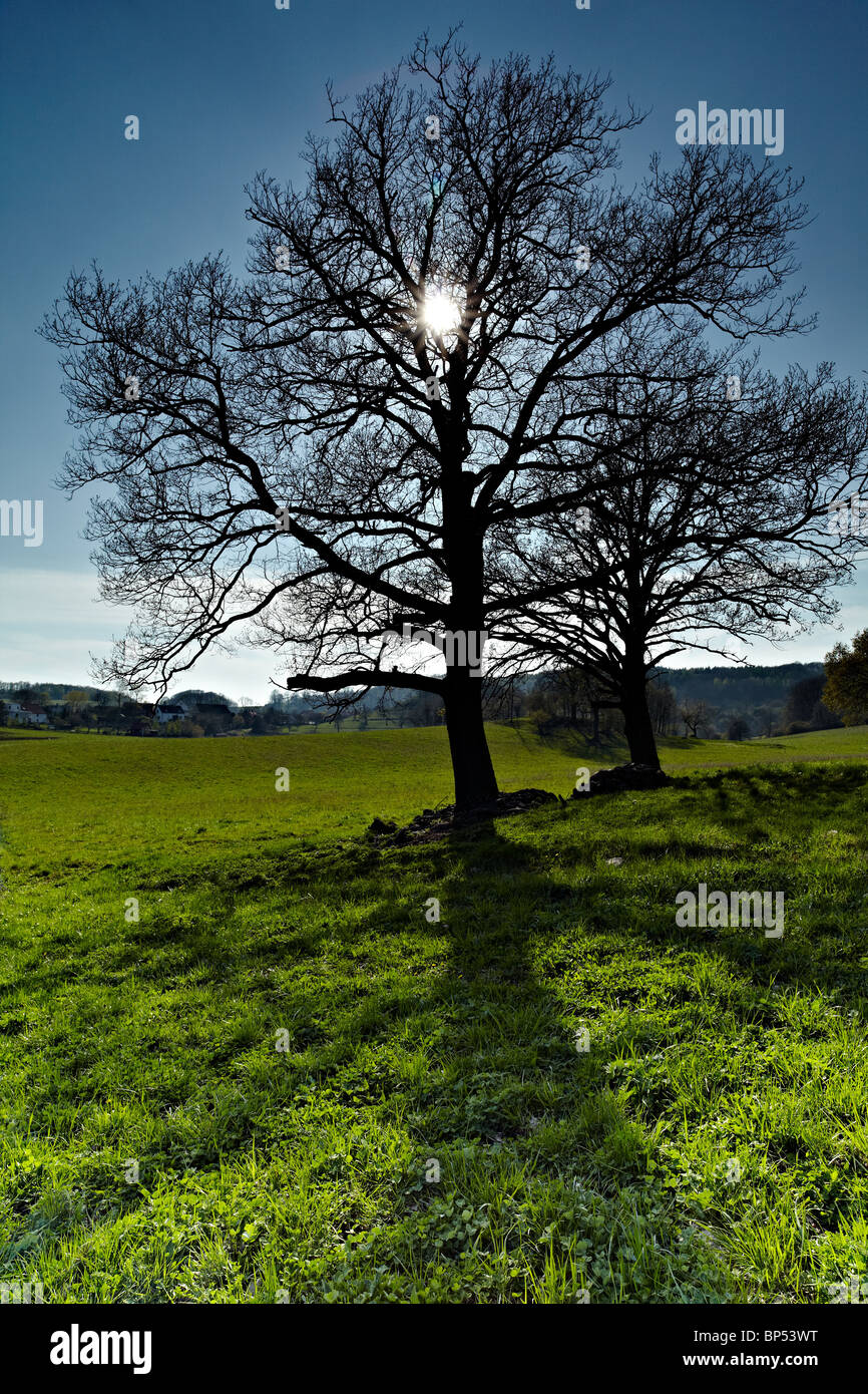 Green grass and sky hi-res stock photography and images - Alamy