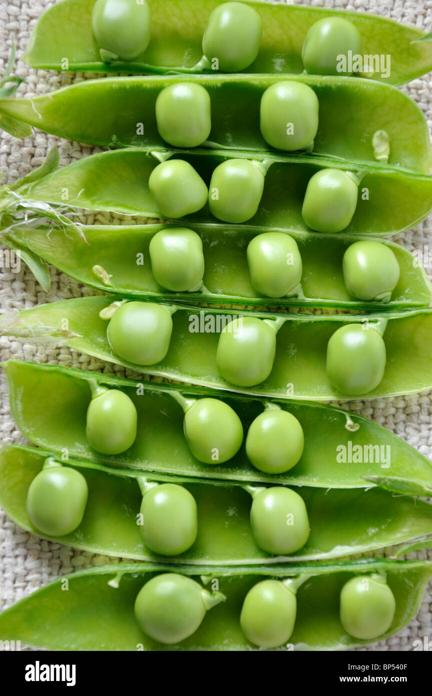 Open pea hi-res stock photography and images - Alamy