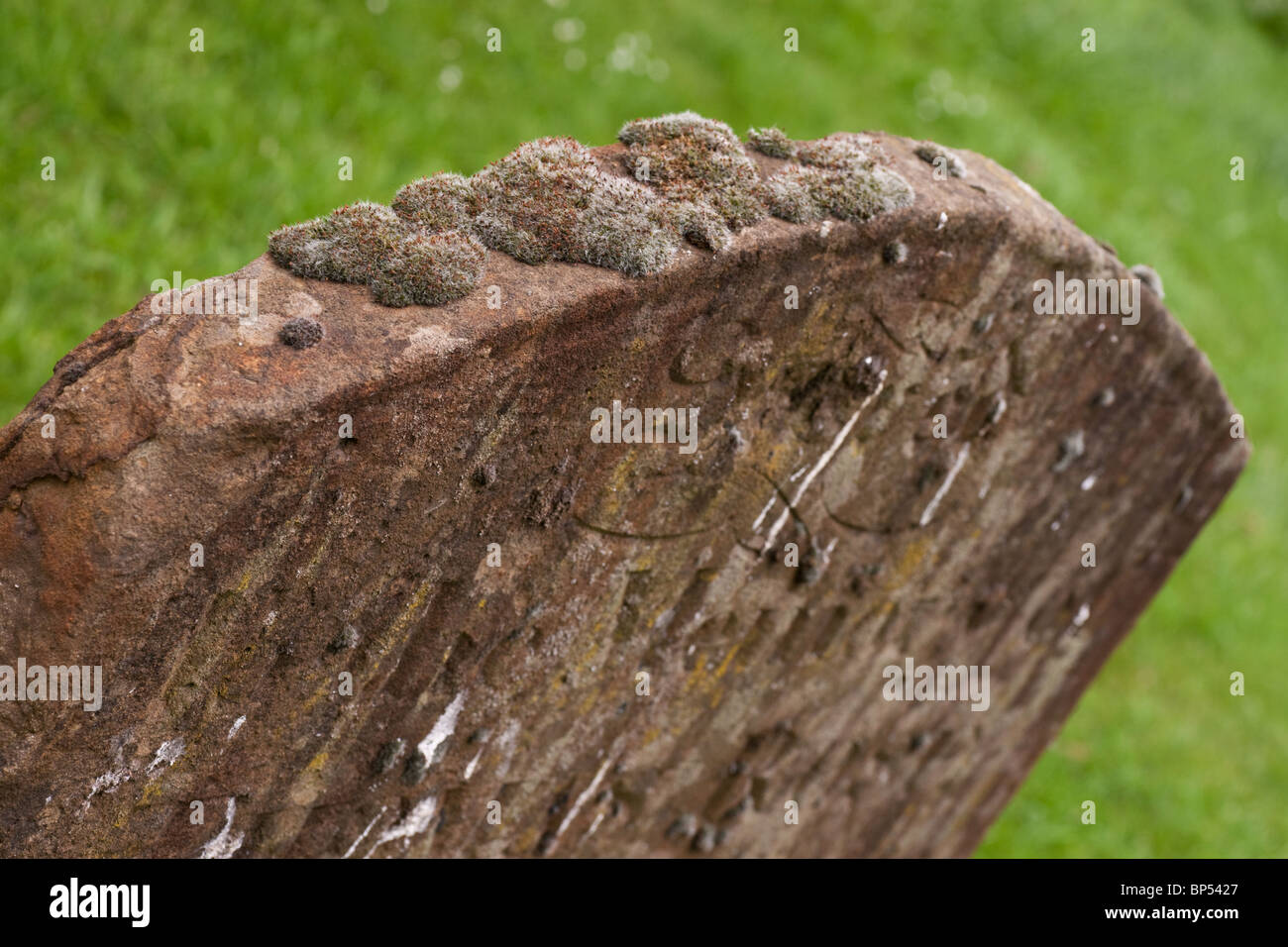 Old sandstone gravestone hi-res stock photography and images - Alamy