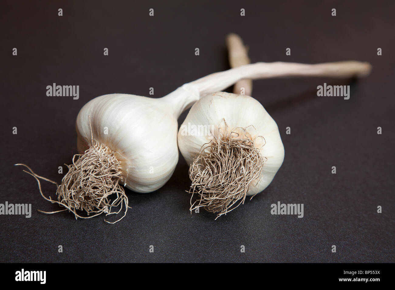 Garlic roots hi-res stock photography and images - Alamy