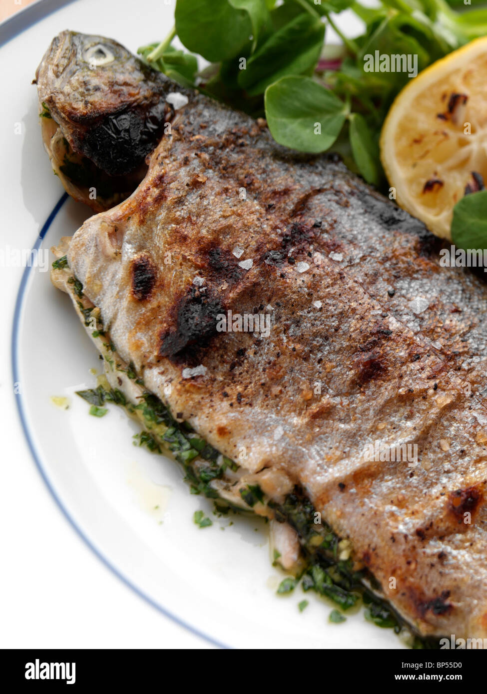 Individual portion of broiled rainbow trout and salad Stock Photo - Alamy