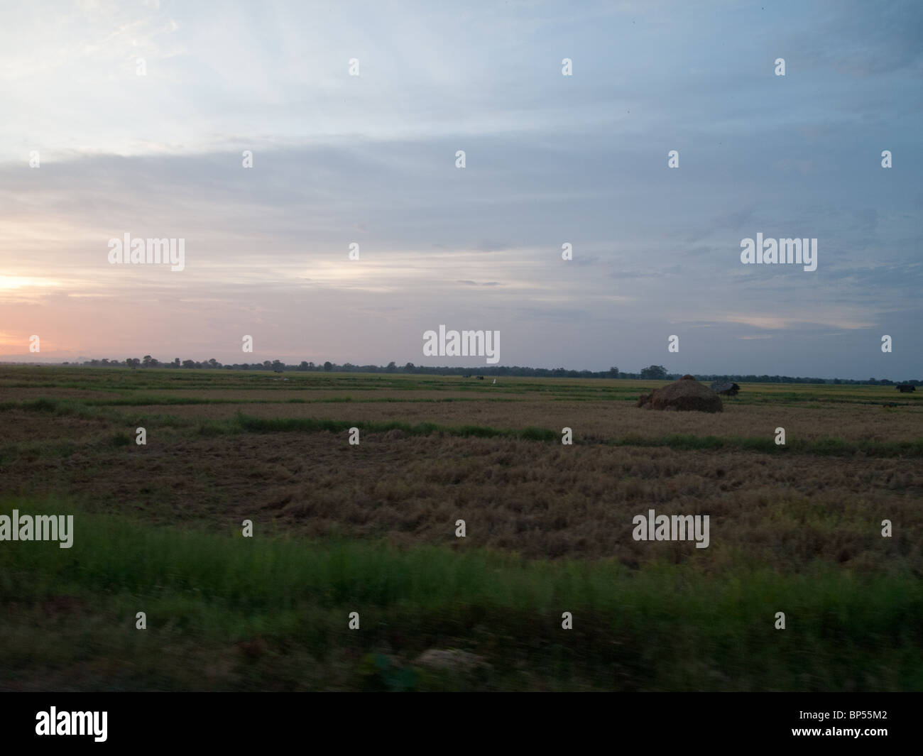 Ampara district hi-res stock photography and images - Alamy