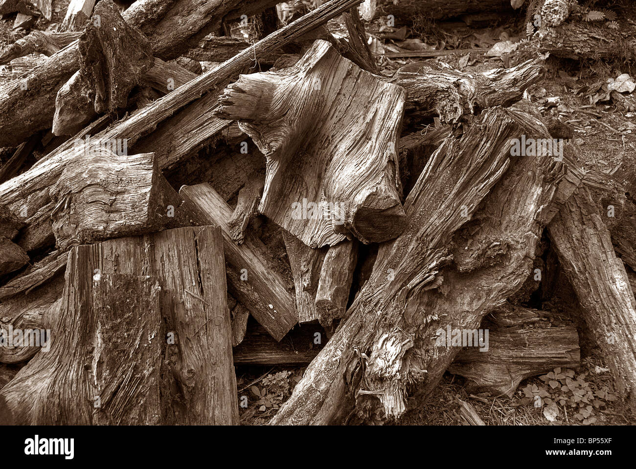wood pile HDR High Dynamic Range Stock Photo - Alamy