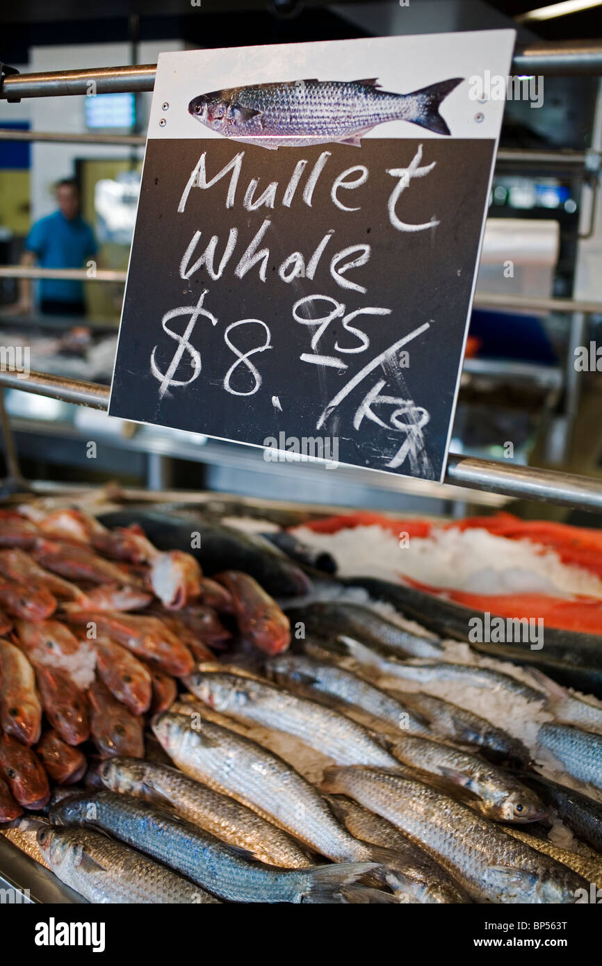 Auckland's fish market, New Zealand Stock Photo - Alamy