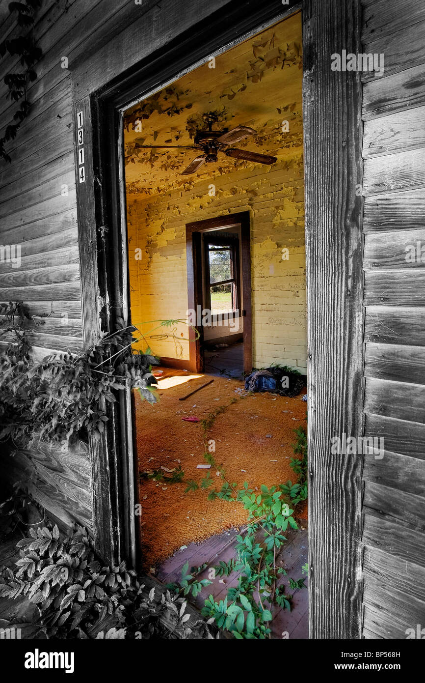 Abandoned house with Kudzu creeping in Stock Photo - Alamy