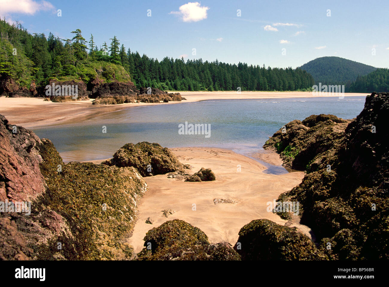 Scott beach hi-res stock photography and images - Alamy