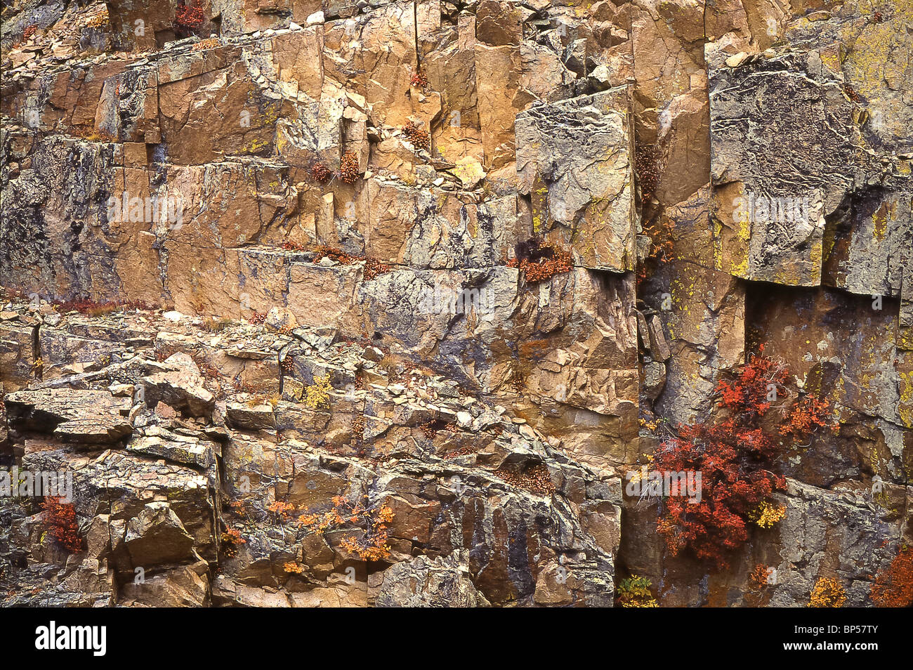 Sculpted vegetation hi-res stock photography and images - Alamy