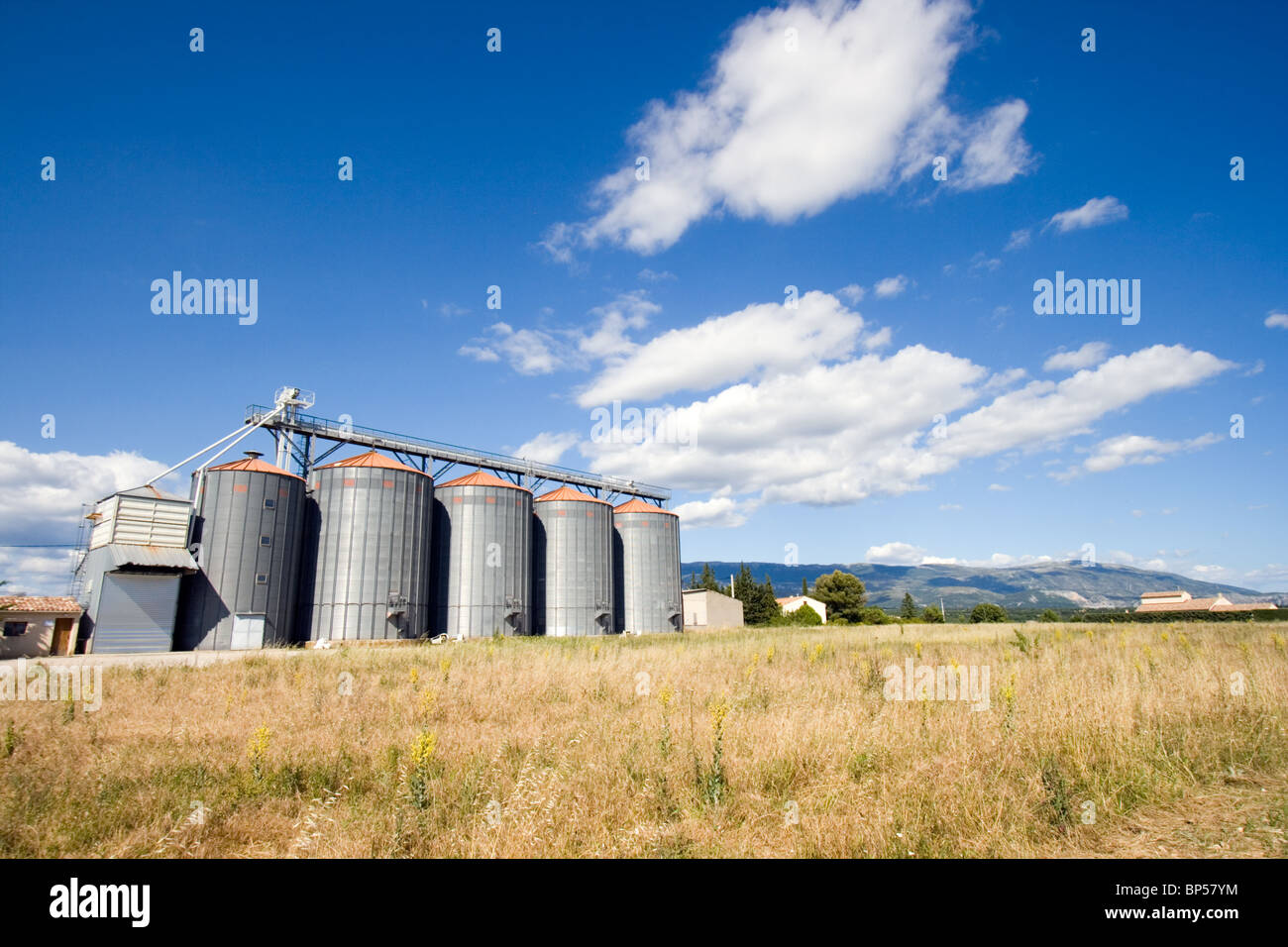 Processing wheat hi-res stock photography and images - Alamy