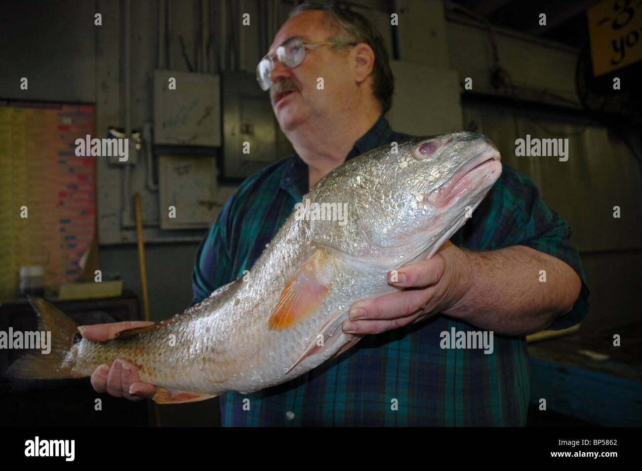 Alabama gulf seafood hi-res stock photography and images - Alamy
