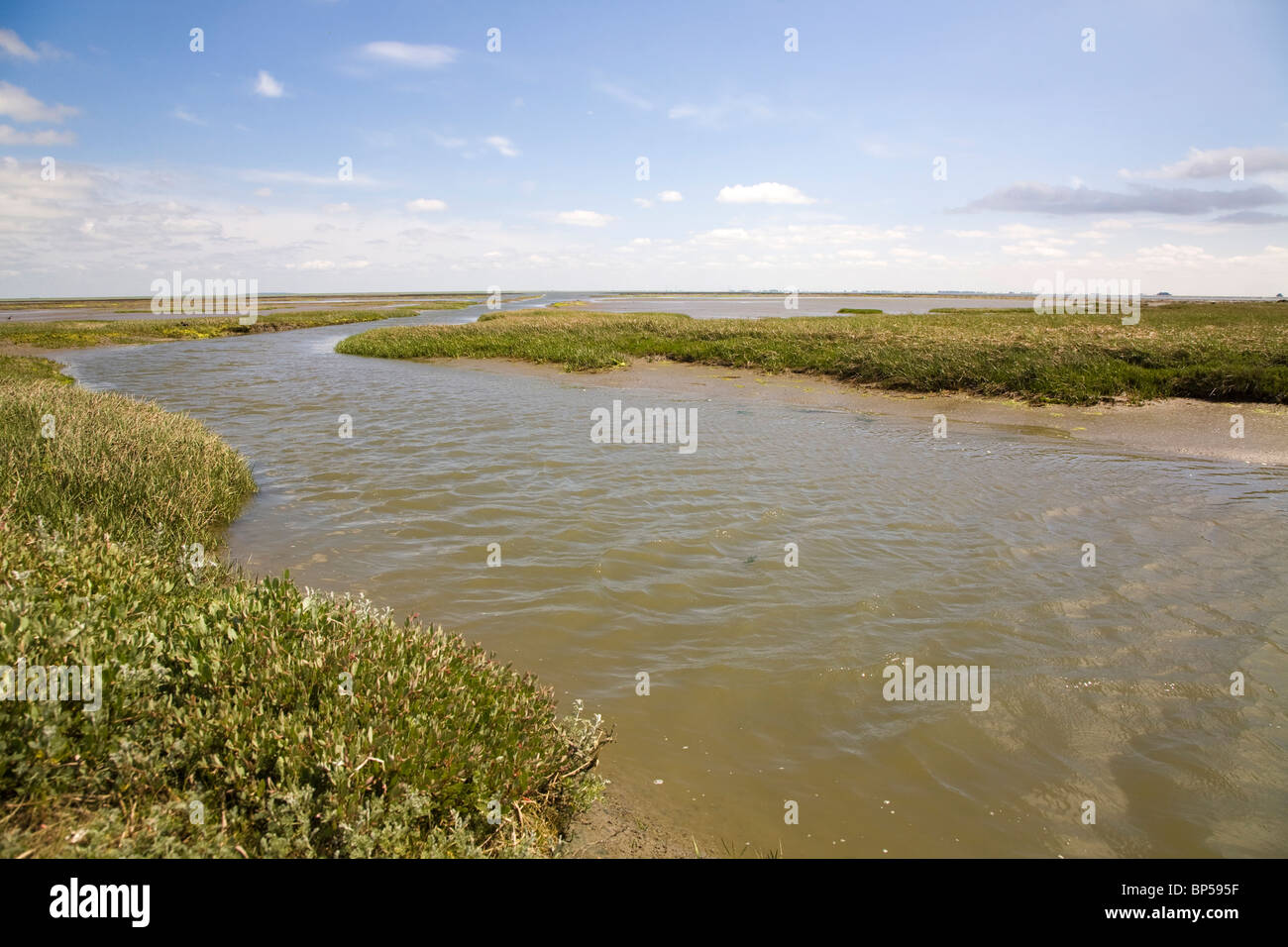 Hamburger hallig hi-res stock photography and images - Alamy