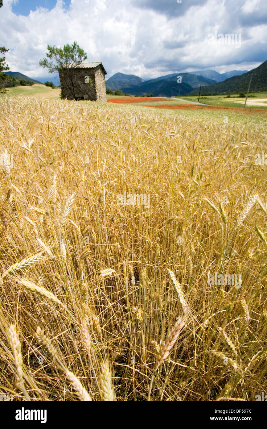 Rural france landscape hi-res stock photography and images - Alamy