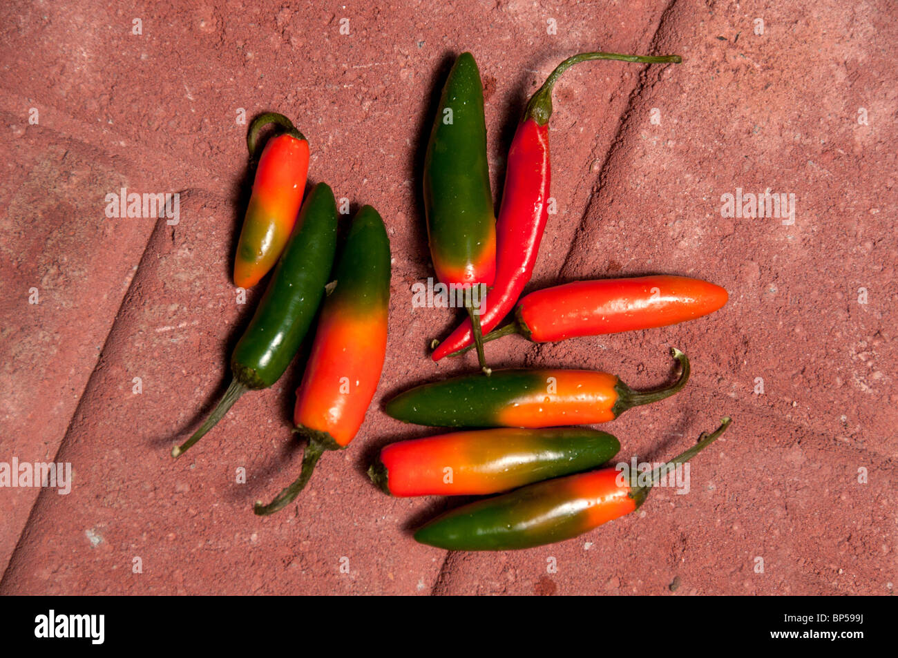 Red thai chile peppers hi-res stock photography and images - Alamy